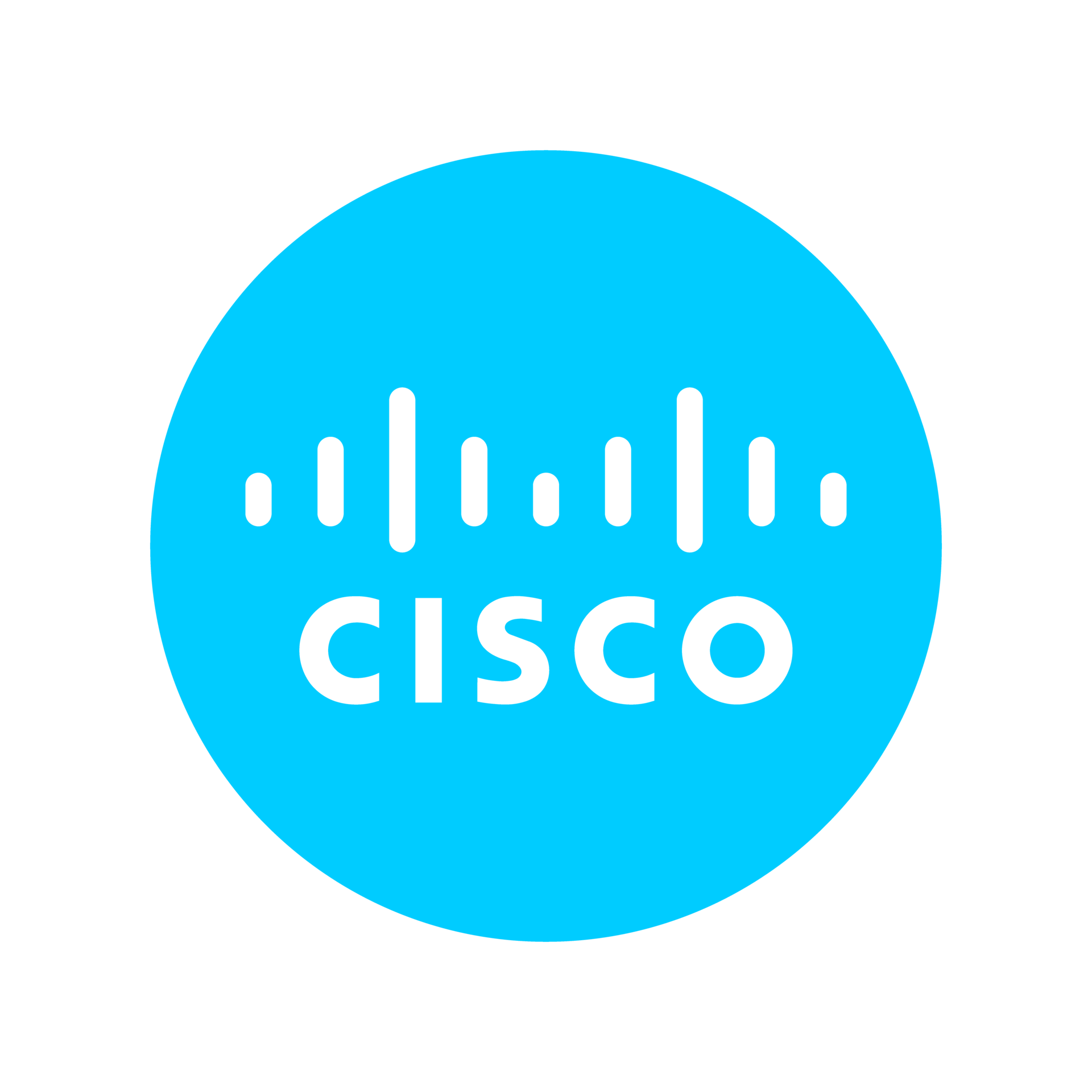 Vandana sharma Portfolio